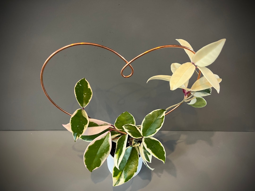 Heart Copper Trellis - Etsy