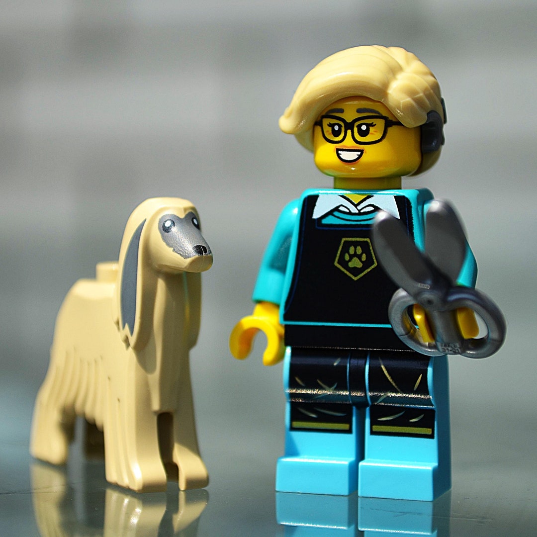 Pet Groomer - Genuine LEGO® Minifigure / With Afghan Hound Dog and ...