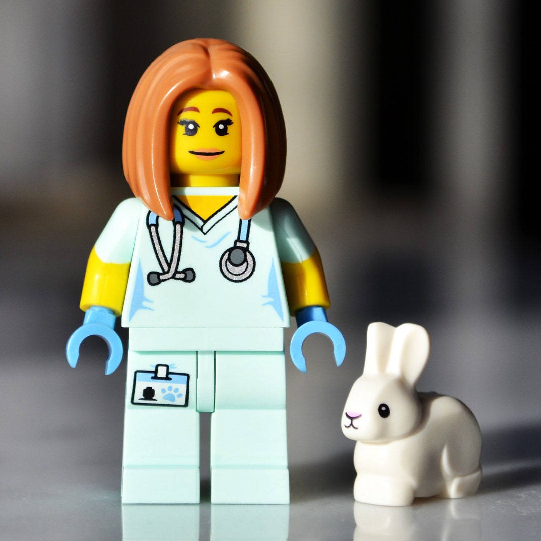 Veterinarian - Genuine LEGO® Minifigure / With Rabbit / Vet Animal ...
