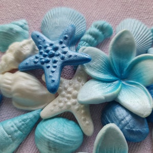 60 Edible Sugar Seashells: Blue & White Cake Toppers - Etsy