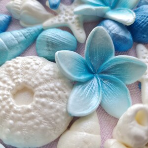 60 Edible Sugar Seashells: Blue & White Cake Toppers - Etsy