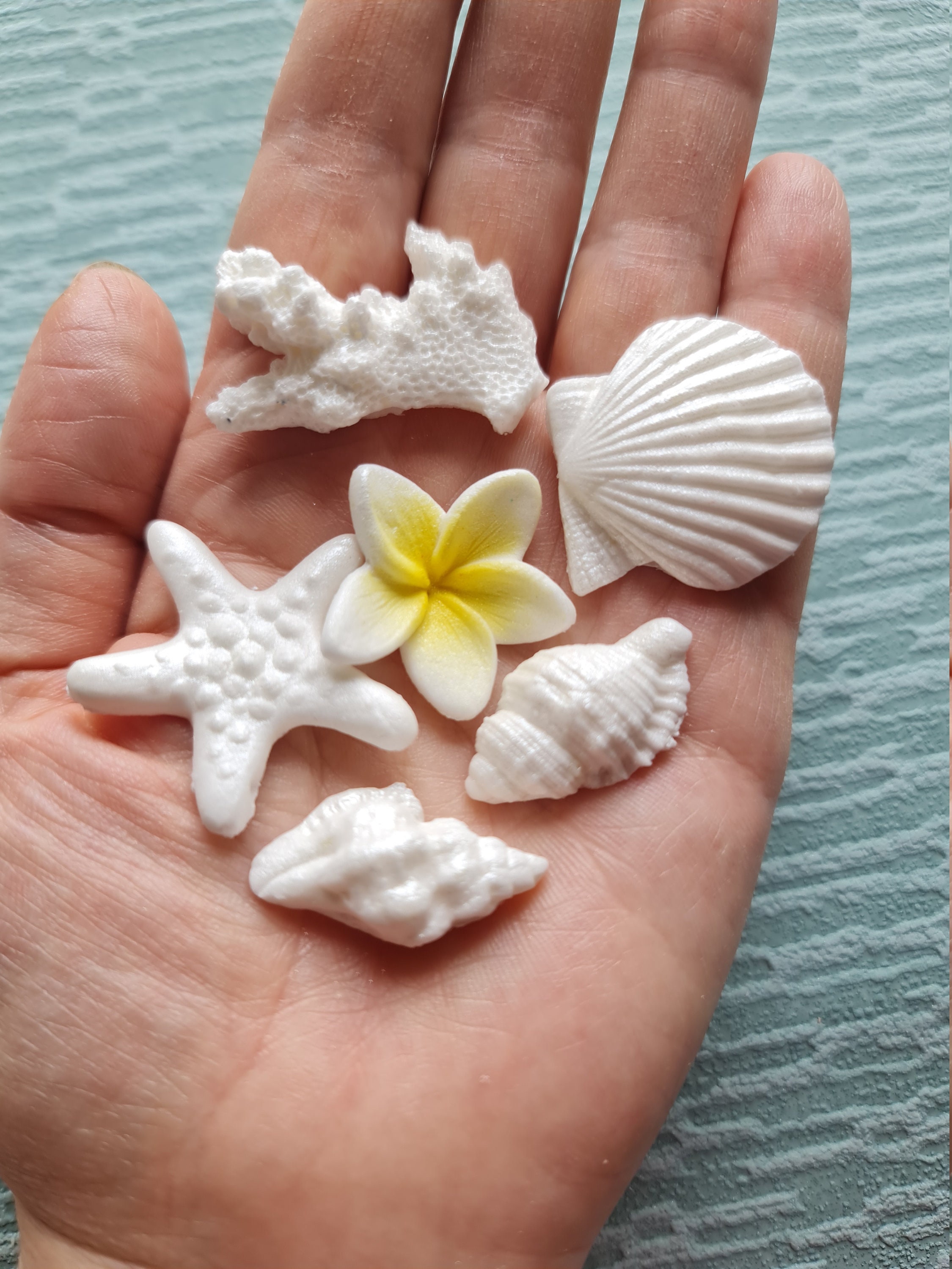 60 Pcs. Edible Sugar Fondant Seashells Shells Plumeria Cake - Etsy