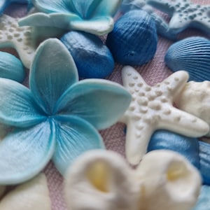 60 Edible Sugar Seashells: Blue & White Cake Toppers - Etsy