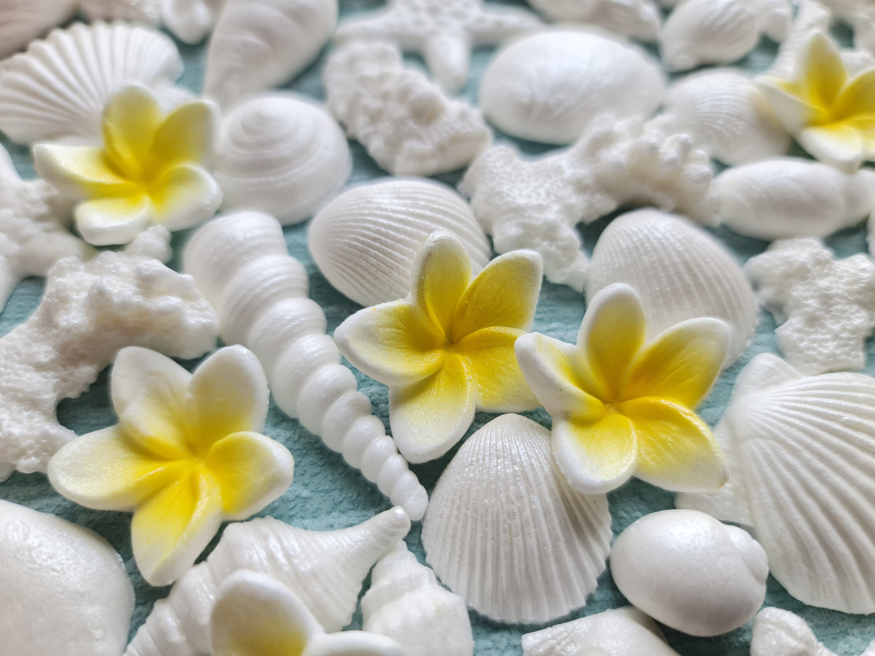 60 Pcs. Edible Sugar Fondant Seashells Shells Plumeria Cake - Etsy