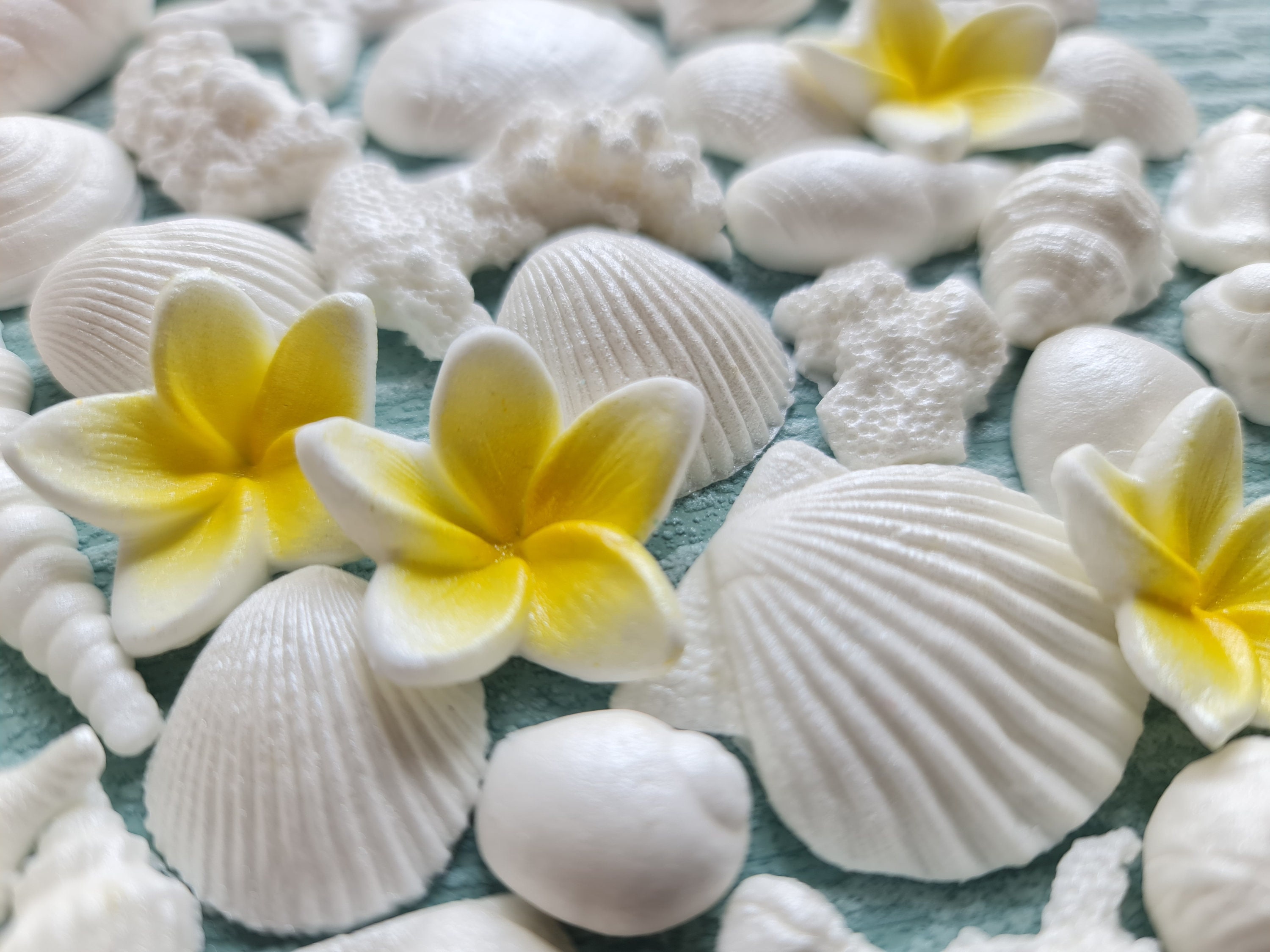 60 Pcs. Edible Sugar Fondant Seashells Shells Plumeria Cake - Etsy