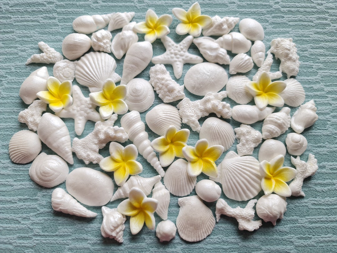 60 Pcs. Edible Sugar Fondant Seashells, Shells, Plumeria Cake Topper ...