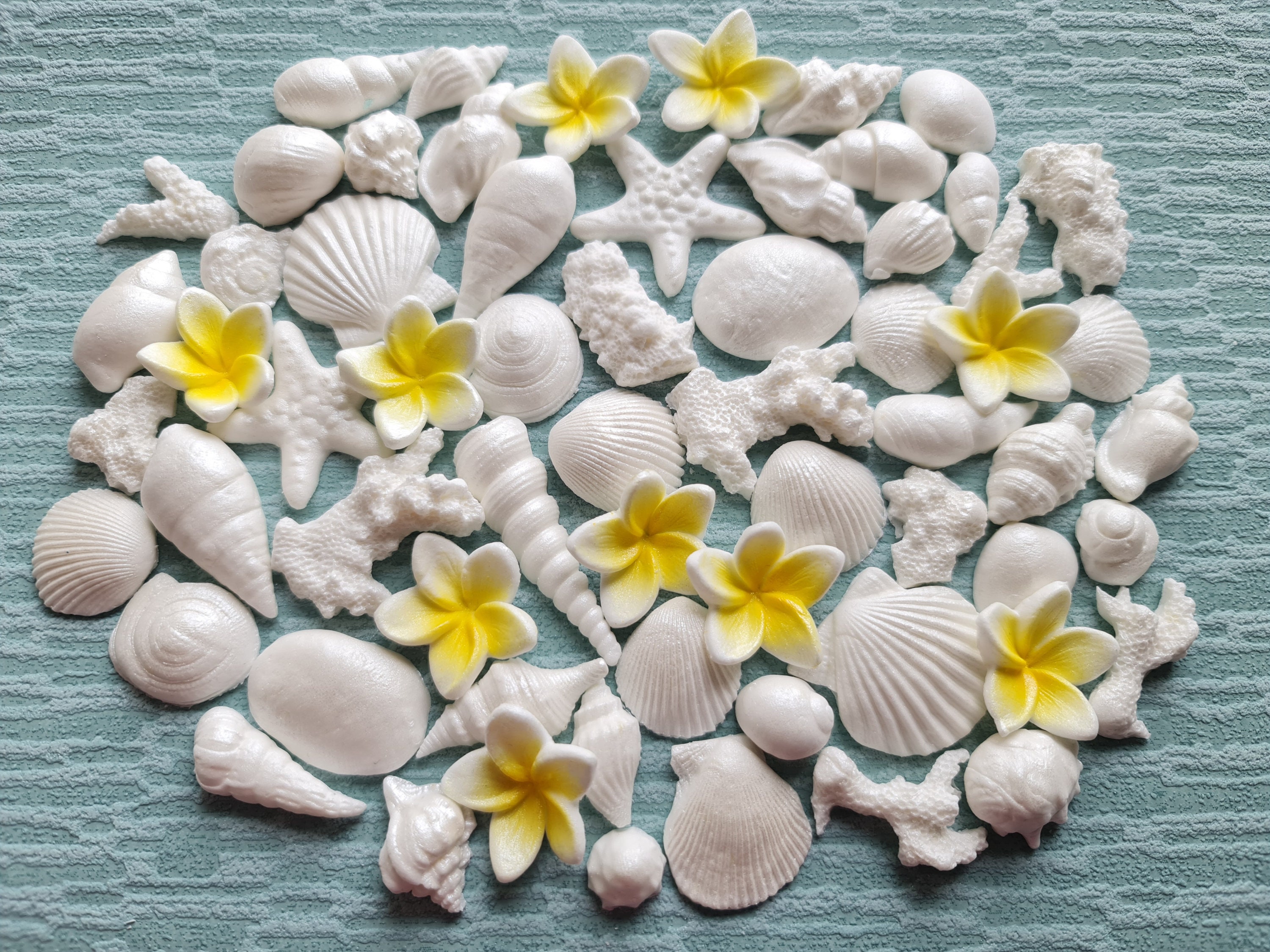60 Pcs. Edible Sugar Fondant Seashells Shells Plumeria Cake - Etsy