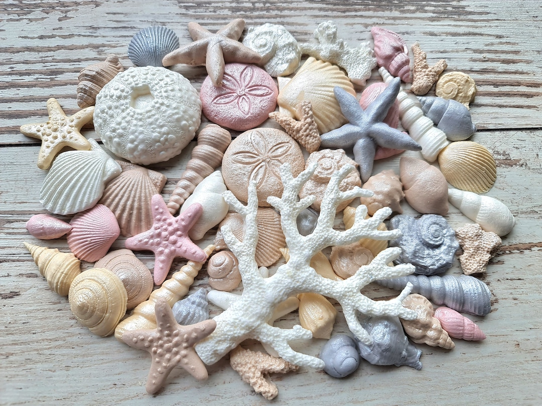 40 Pcs. Sugar Fondant Shells, Starfishes, Corals, Natural Colors Cake ...