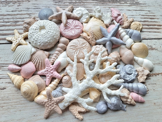 40 Pcs. Sugar Fondant Shells Starfishes Corals Natural - Etsy