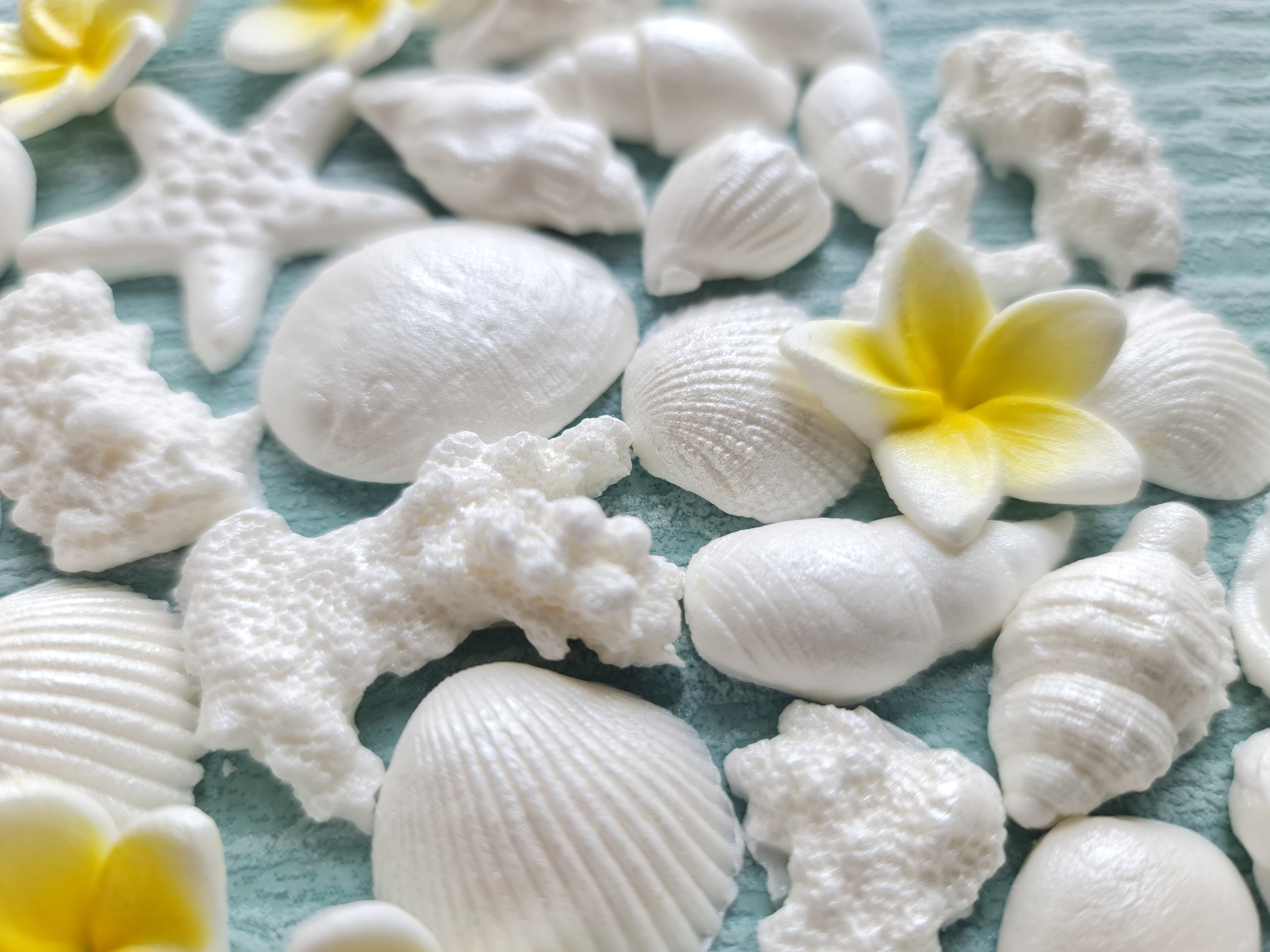 60 Pcs. Edible Sugar Fondant Seashells Shells Plumeria Cake - Etsy