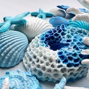 40 Pcs. LARGE Edible Sugar Seashells, Clam Shells, Corals, Starfish ...