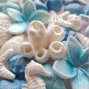60 Edible Sugar Seashells: Blue & White Cake Toppers - Etsy