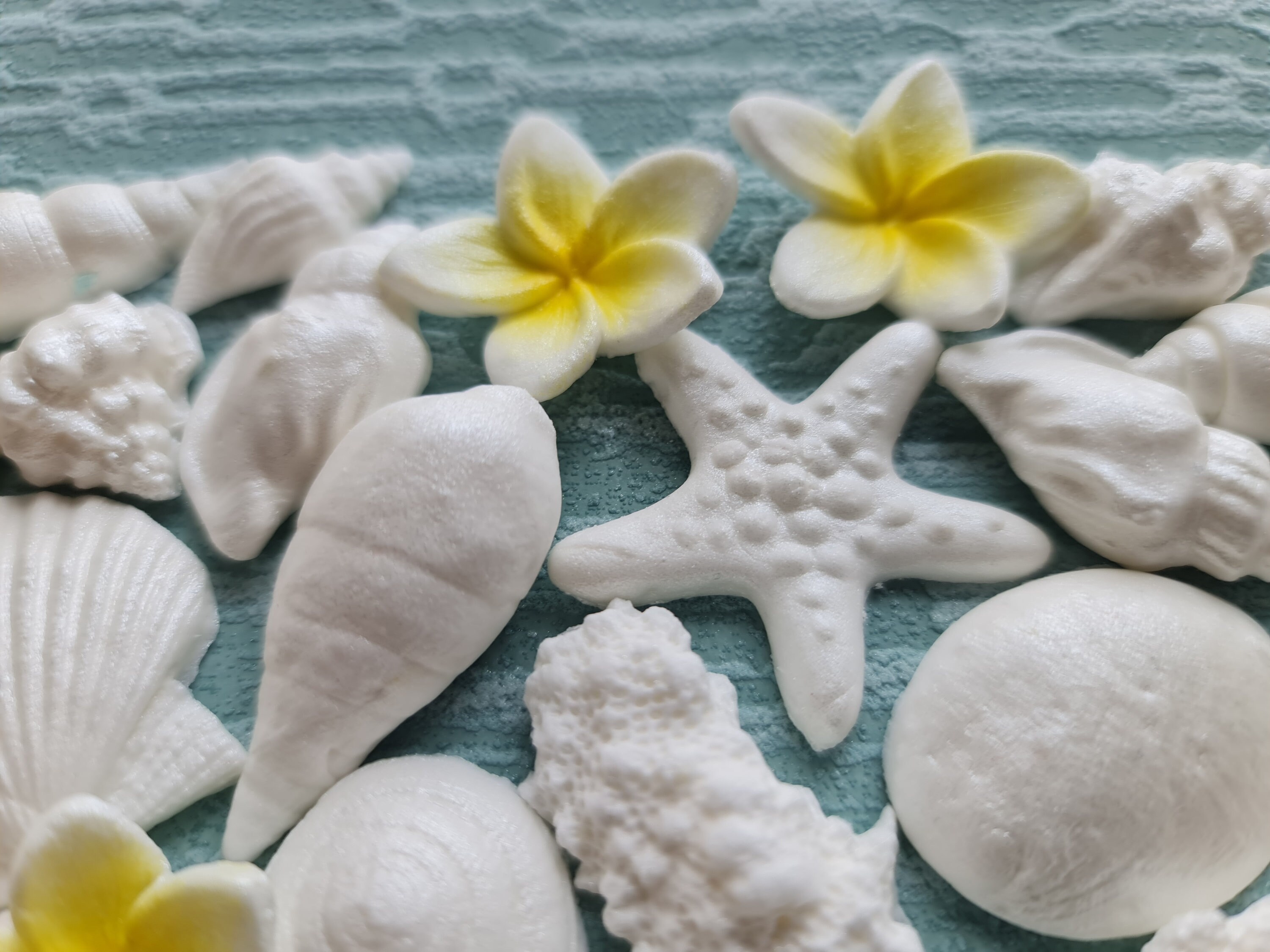 60 Pcs. Edible Sugar Fondant Seashells Shells Plumeria Cake - Etsy