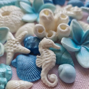 60 Edible Sugar Seashells: Blue & White Cake Toppers - Etsy
