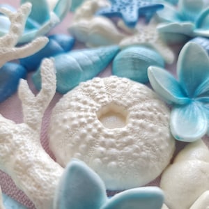 60 Edible Sugar Seashells: Blue & White Cake Toppers - Etsy
