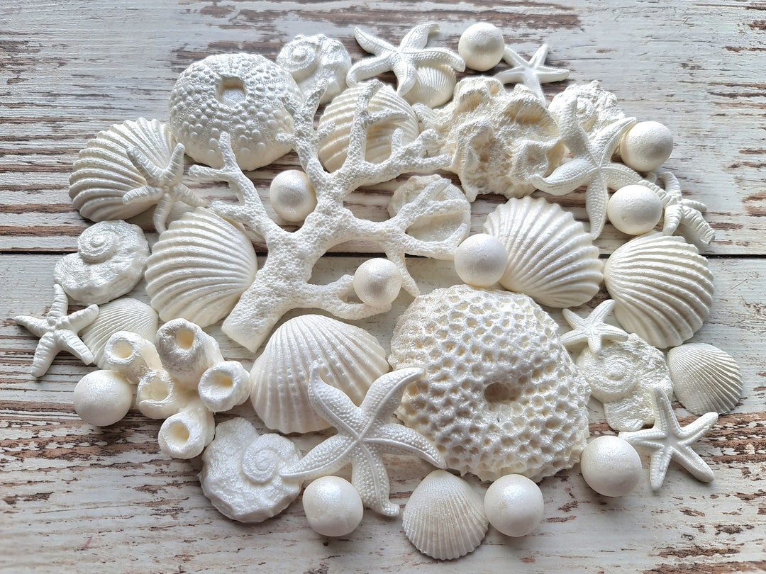 30 White Fondant Seashells: Large Cake Toppers - Etsy