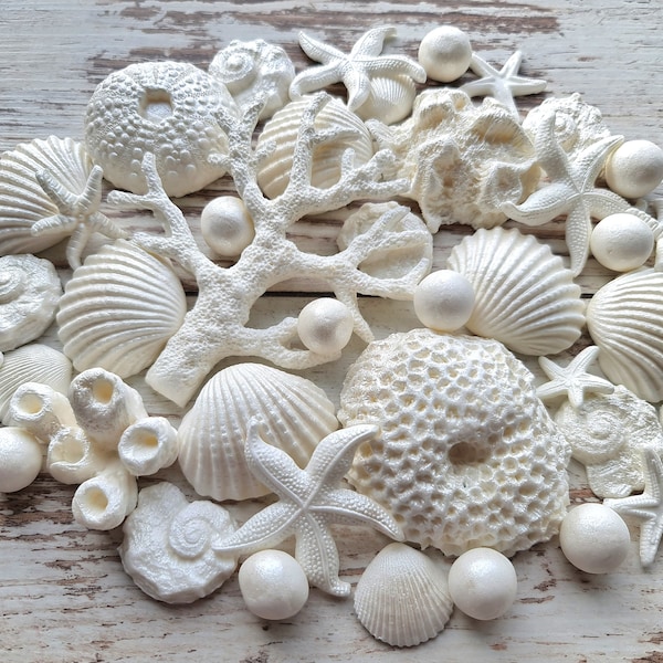 Seashell Cake Topper - Etsy