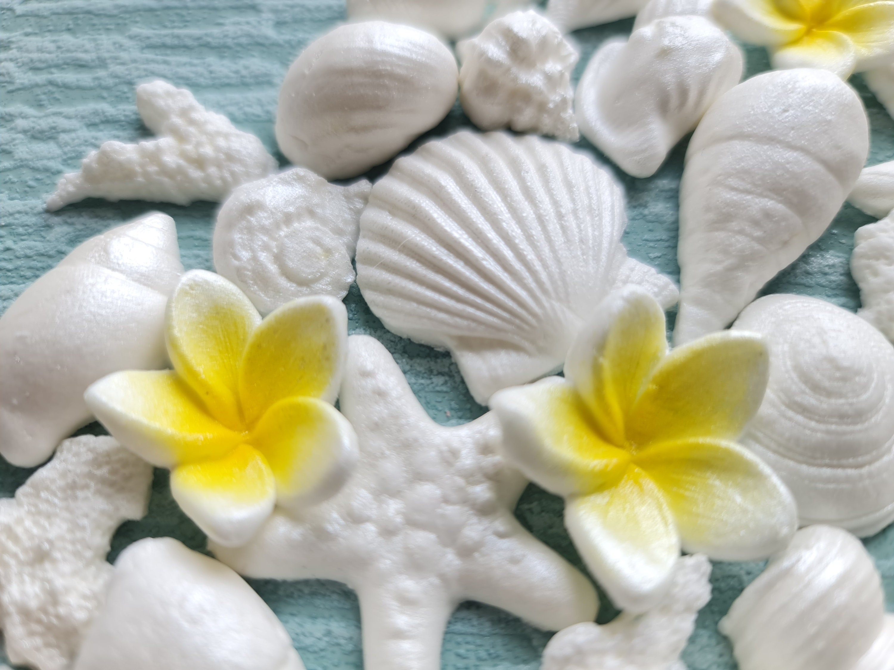 60 Pcs. Edible Sugar Fondant Seashells Shells Plumeria Cake - Etsy