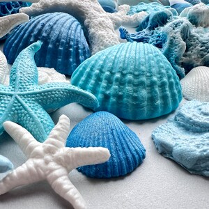 40 Edible Sugar Seashells: Blue & White Cake Toppersno Extra Fees for ...