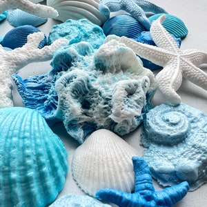 40 Pcs. LARGE Edible Sugar Seashells, Clam Shells, Corals, Starfish ...