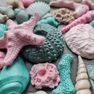 30 Pcs. Sugar, Fondant Clam Shells, Starfish, Corals Cake Topper ...