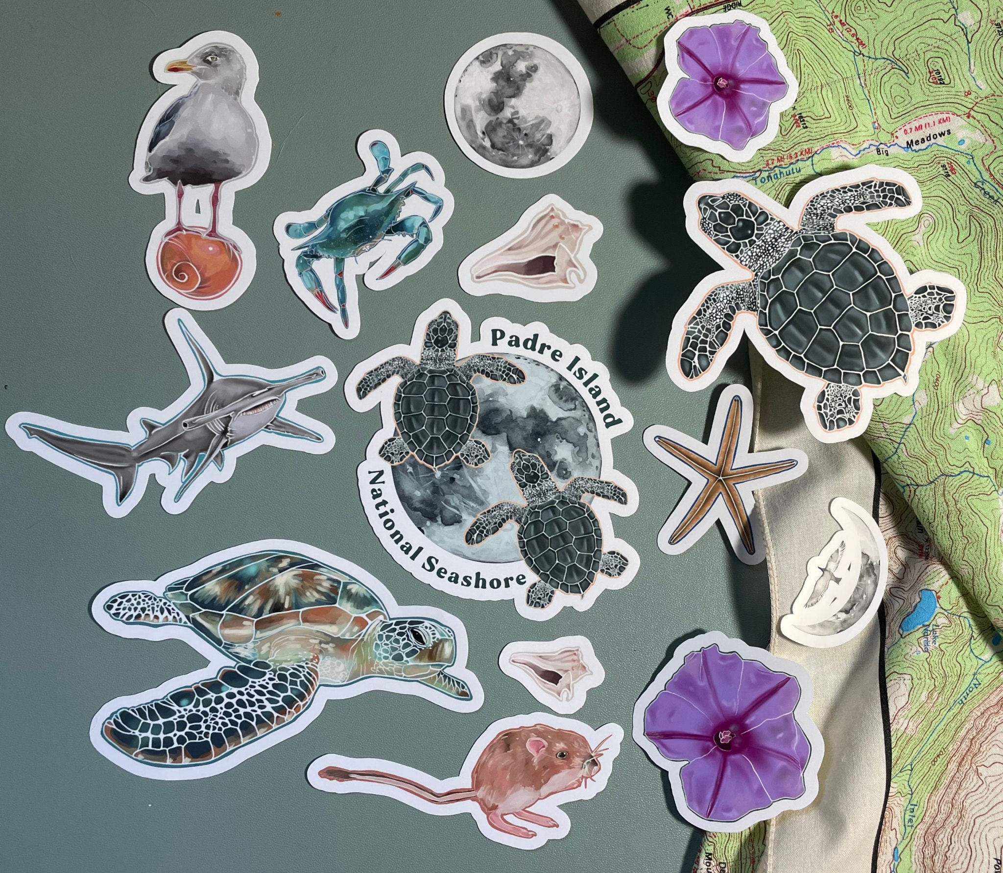 Waterproof Padre Island National Seashore Sticker Pack: Sea Turtle ...