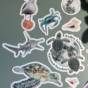 Waterproof Padre Island National Seashore Sticker Pack: Sea Turtle ...