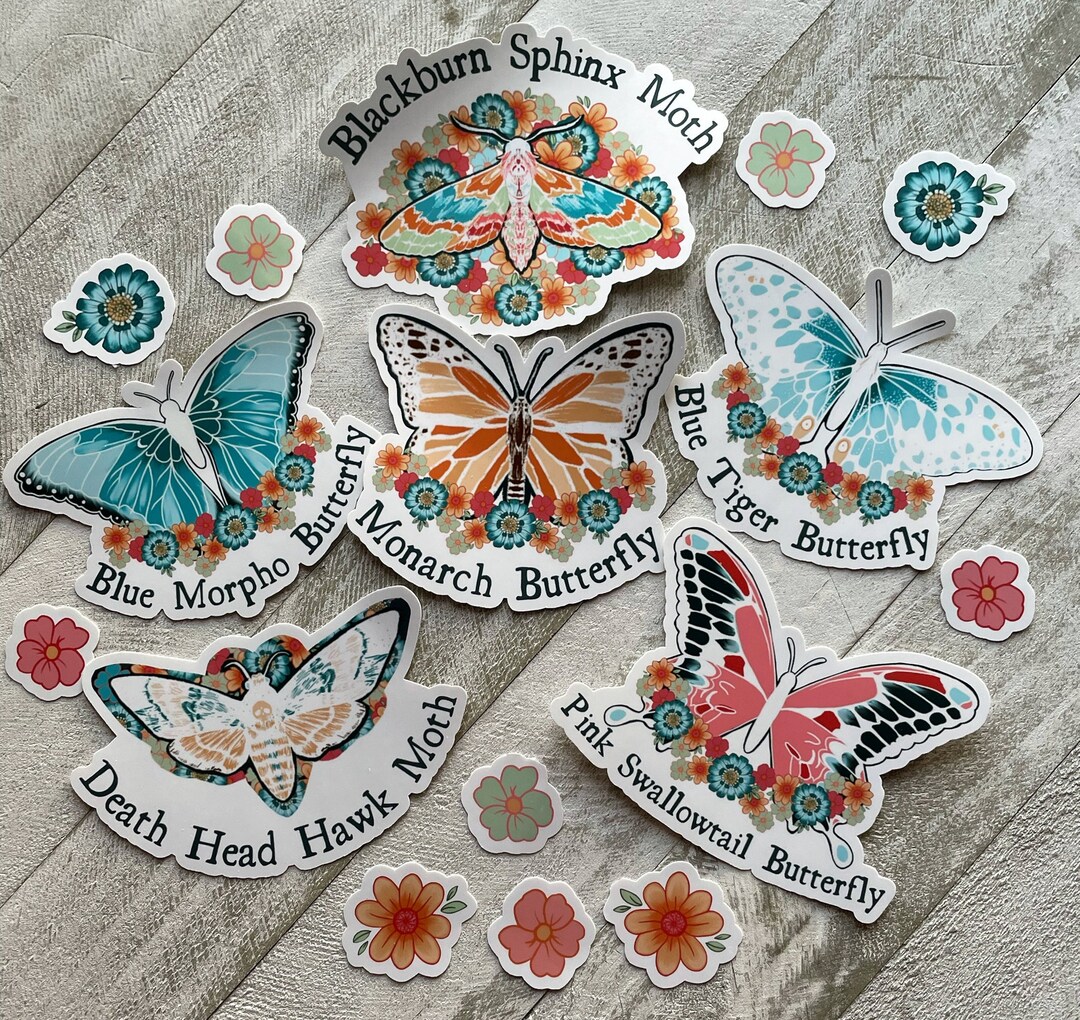 Waterproof Labeled Butterfly & Moth Sticker Pack | Zoology Stickers ...