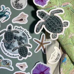 Waterproof Padre Island National Seashore Sticker Pack: Sea Turtle ...