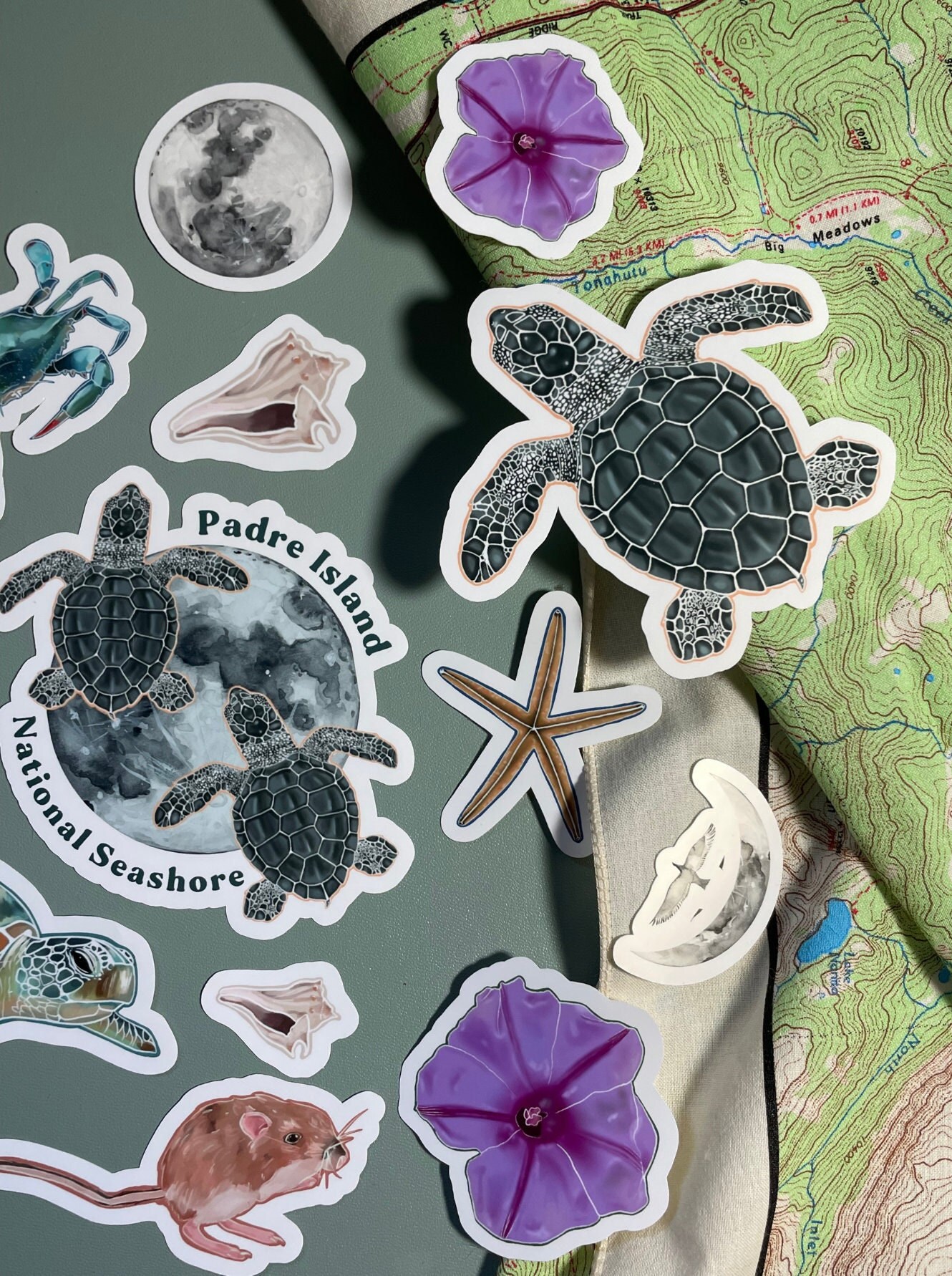 Waterproof Padre Island National Seashore Sticker Pack: Sea Turtle ...