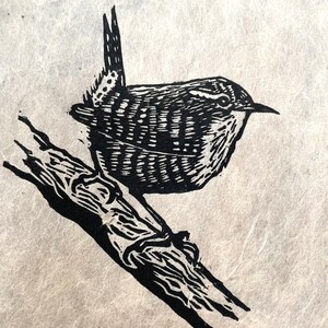 Wren Lino Print Bird Art - Etsy