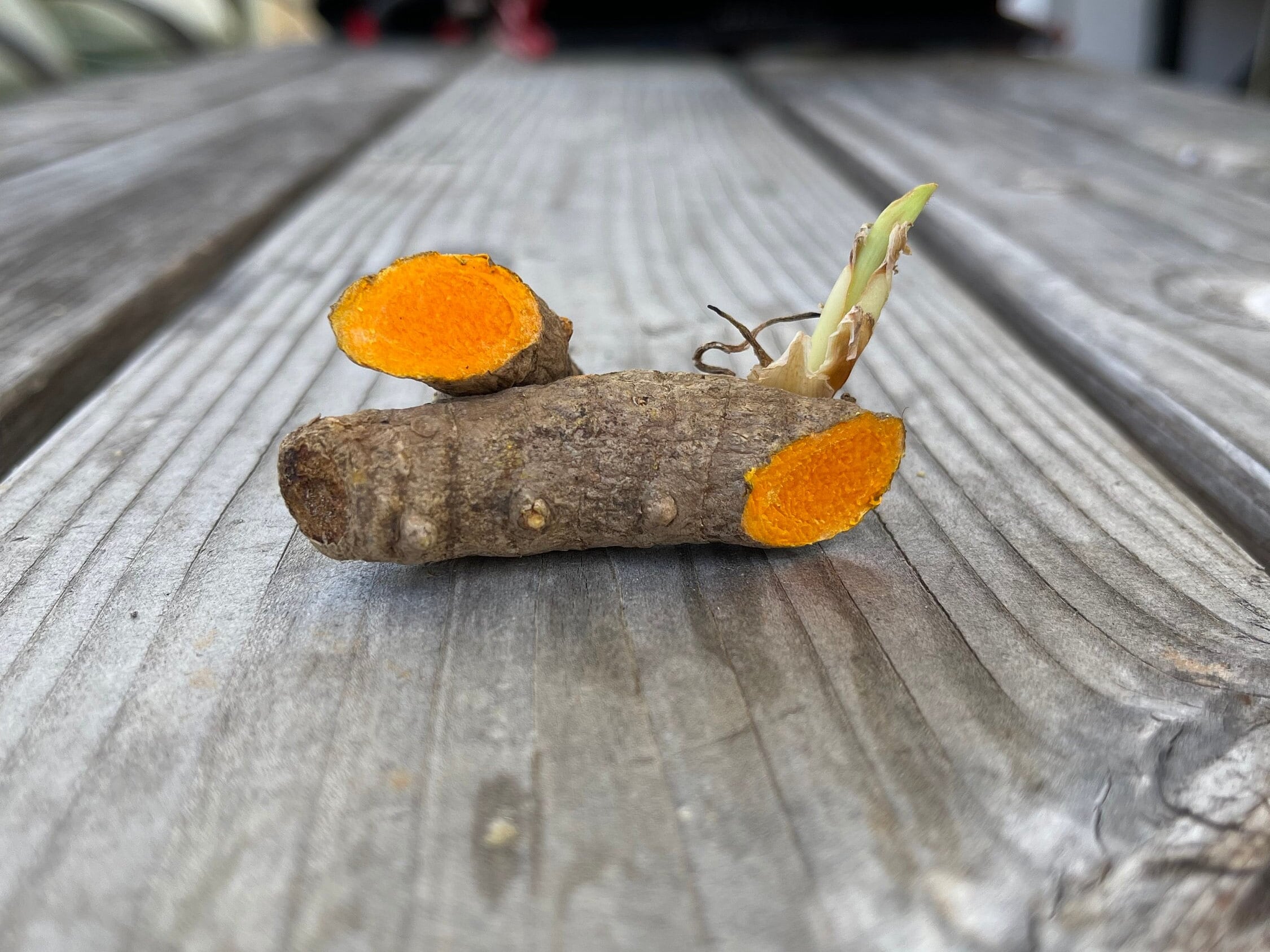 Hawaiian Red Turmeric Roots rhizomes. Hawaii Grown. Ohana means Family ...