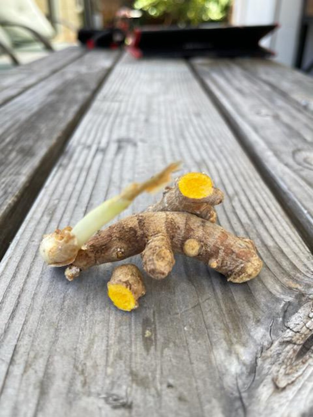END of Season Sale. Fresh Organic Yellow Indira Turmeric Roots ...