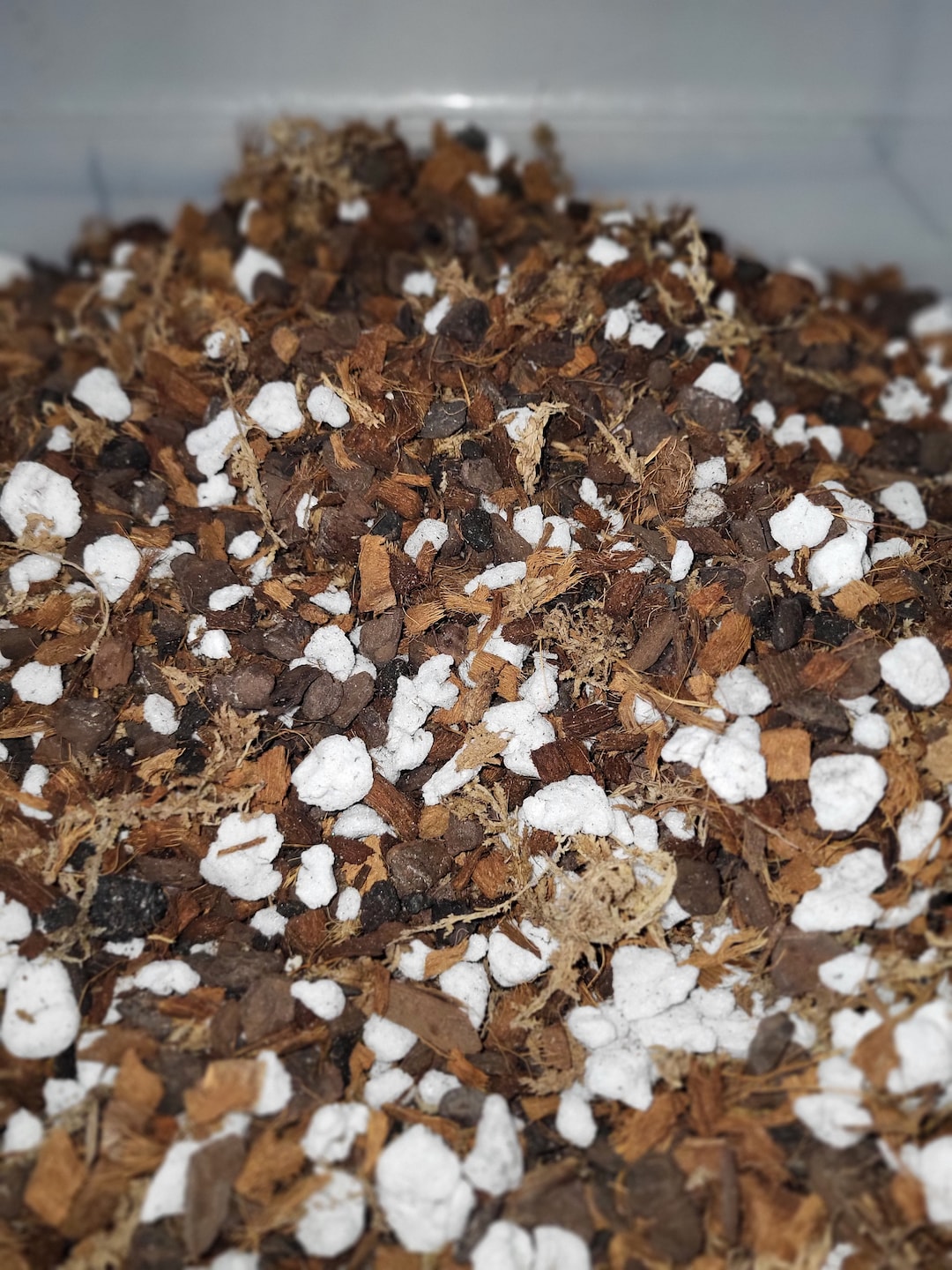 Orchid Mix Medium - All the Goodness in Your Pot of Gold With Quality ...