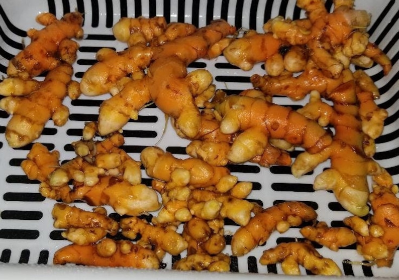 Hawaiian Red Turmeric Roots (rhizomes). Hawaii Grown. Ohana (means ...