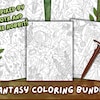 Antique Trinkets Coloring Page Fantasy Coloring Page for Adults ...