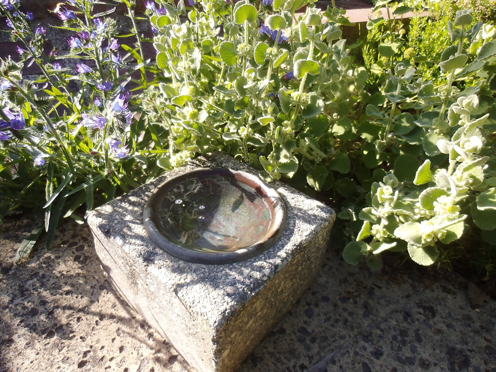 Bird Baths Water Basins Bird Bath Watering Holes Water Point - Etsy UK