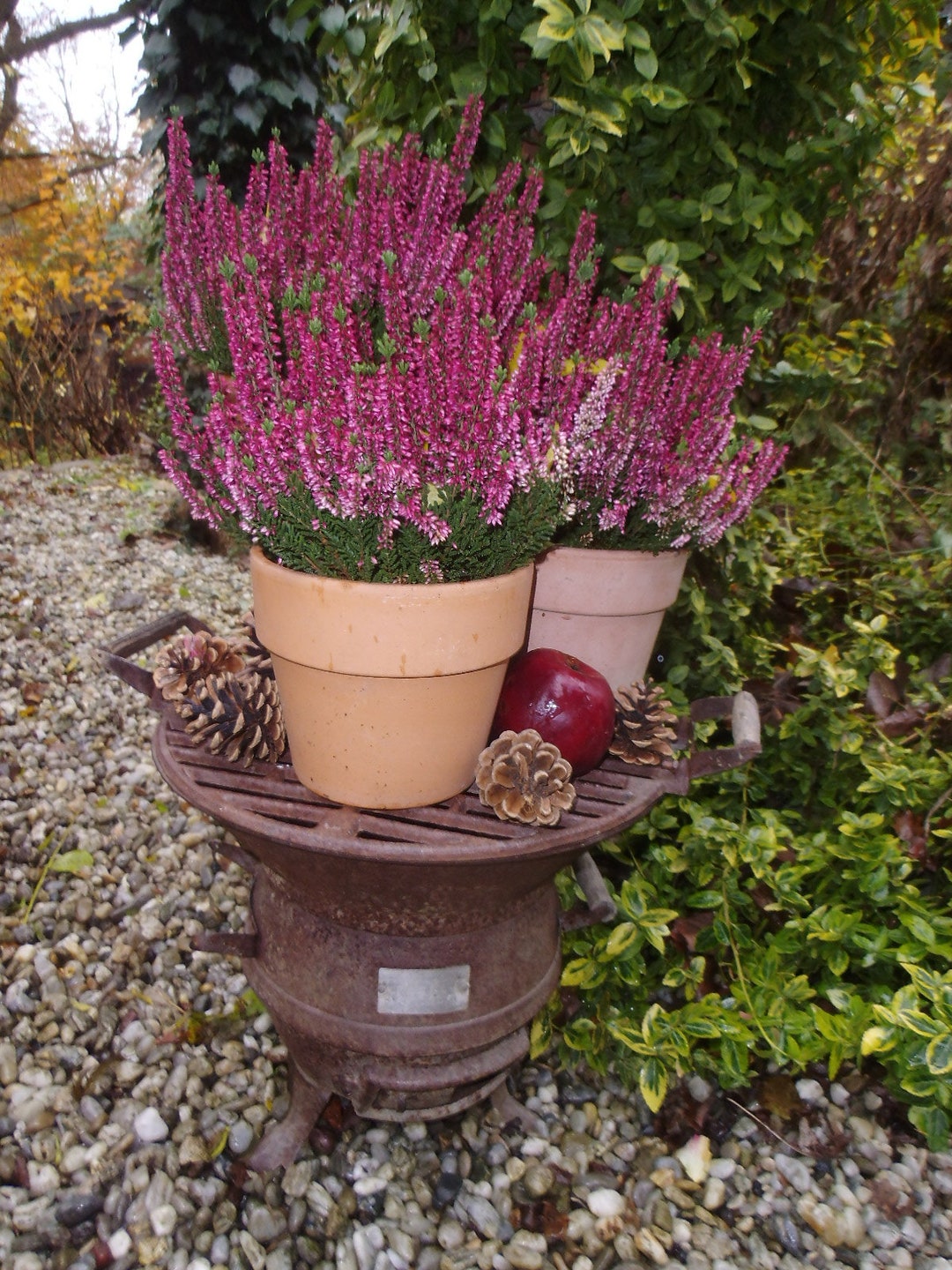 Iron Grill Flower Stand Garden Decoration Country House - Etsy