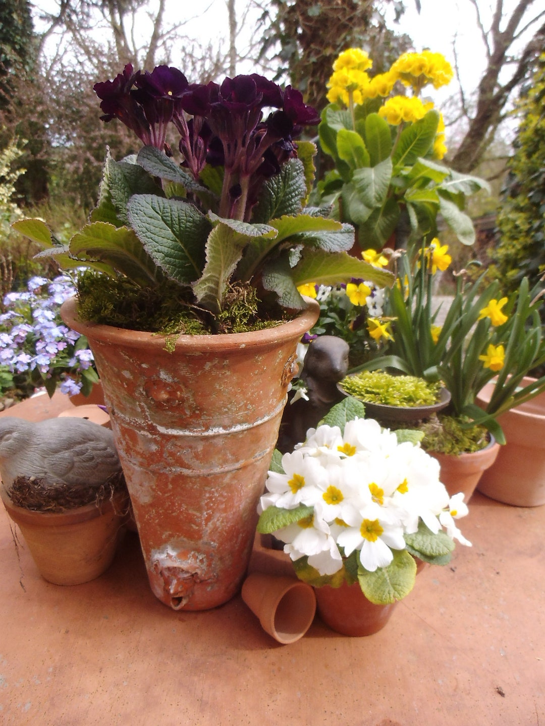 Terracotta Wall Pot France Maskaron Plant Pot Planter Brocante Pot ...