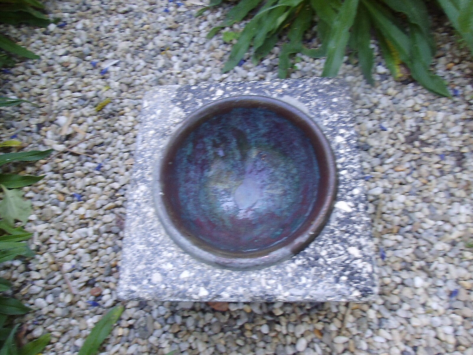 Bird Baths Water Basins Bird Bath Watering Holes Water Point - Etsy UK