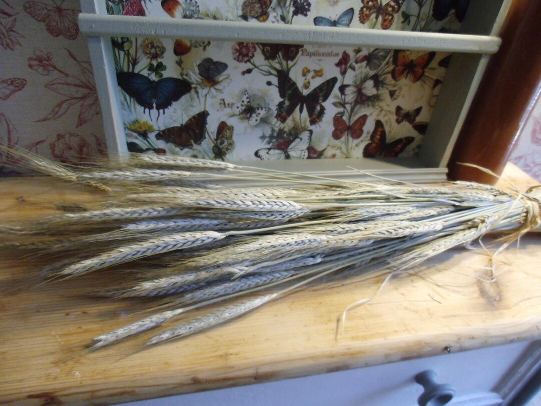 Large Bunch Dried Grain Barley Bundle Ears of Wheat Long Grains ...