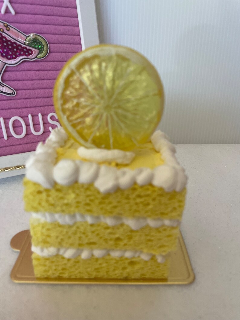 Its Faux Delicious Mini Sponge Cake - Etsy