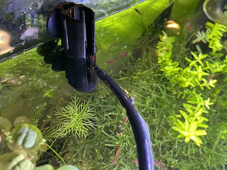 Aquarium Floating Plant Corral Including Rigid Plastic | Etsy UK