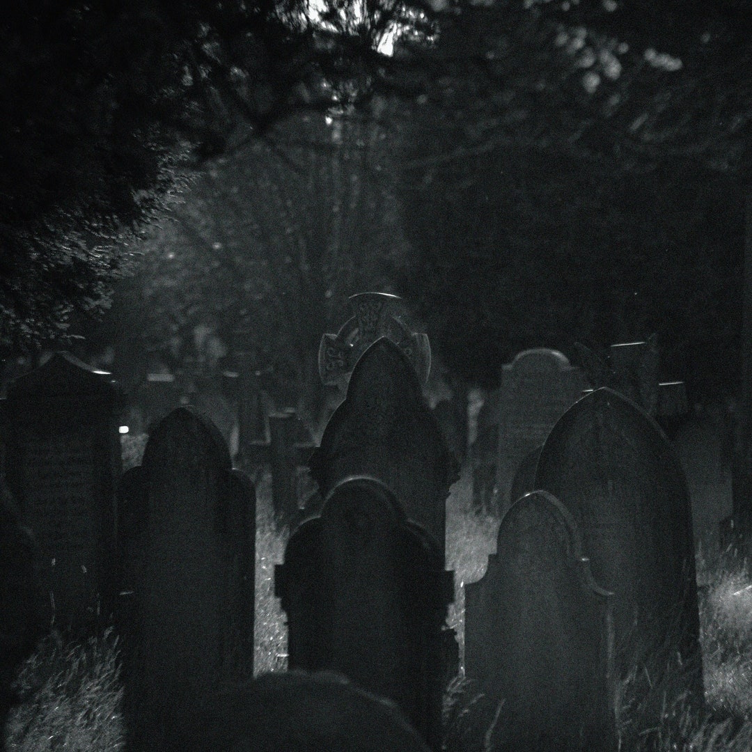 Lenore Perfume Oil 8.5 Ml Gothic Apothecary Blend - Etsy