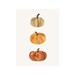 Pumpkin Set Fall Decor Pumpkin Printable Wall Art Fall Wall - Etsy