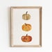 Pumpkin Set Fall Decor Pumpkin Printable Wall Art Fall Wall - Etsy