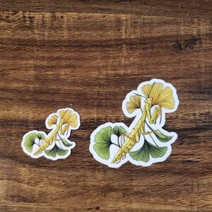 Praying Mantis Sticker Insect Sticker Bubble-free Stickers - Etsy