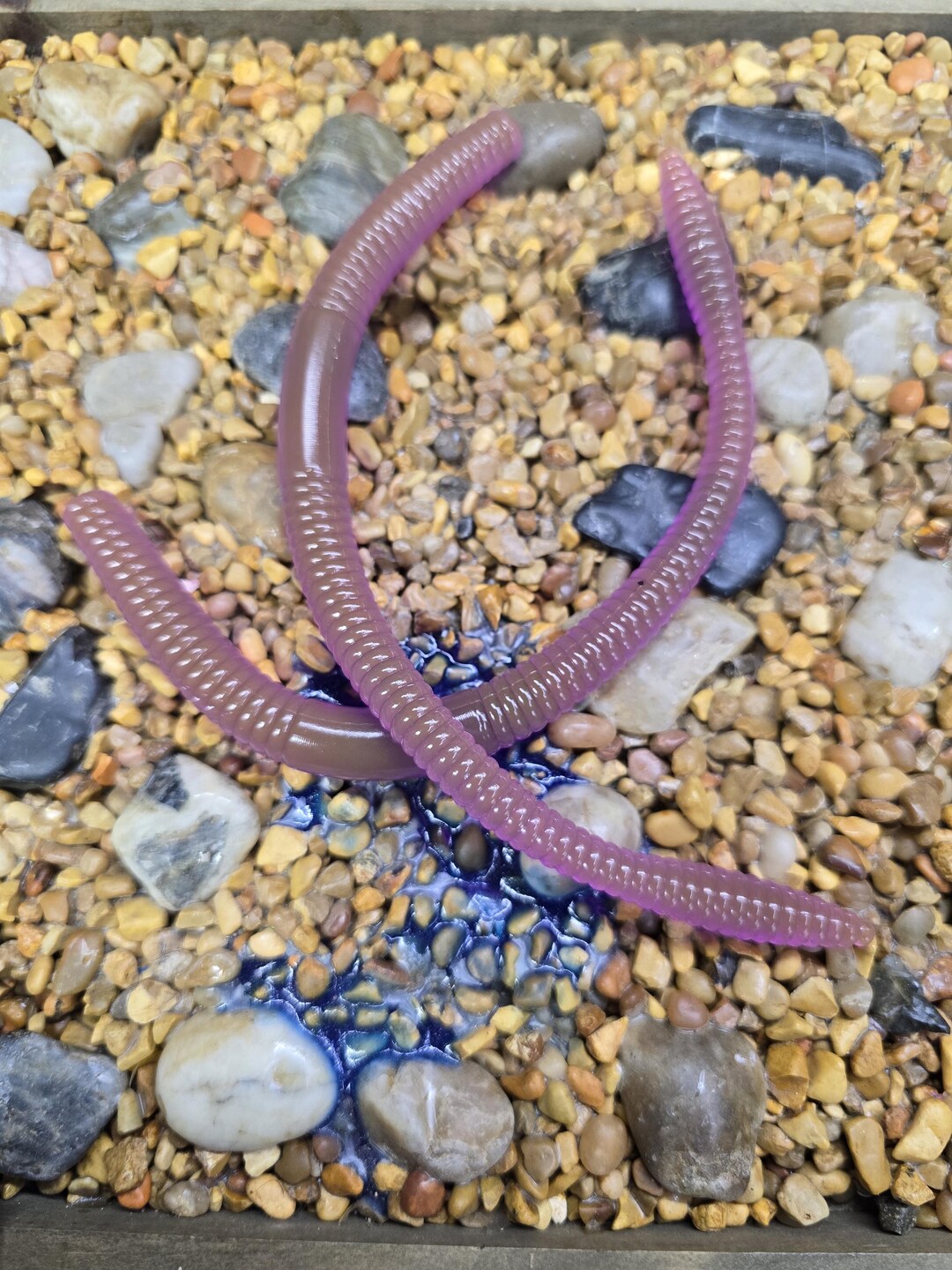 8" MAG Worm (color Series Two) - Etsy