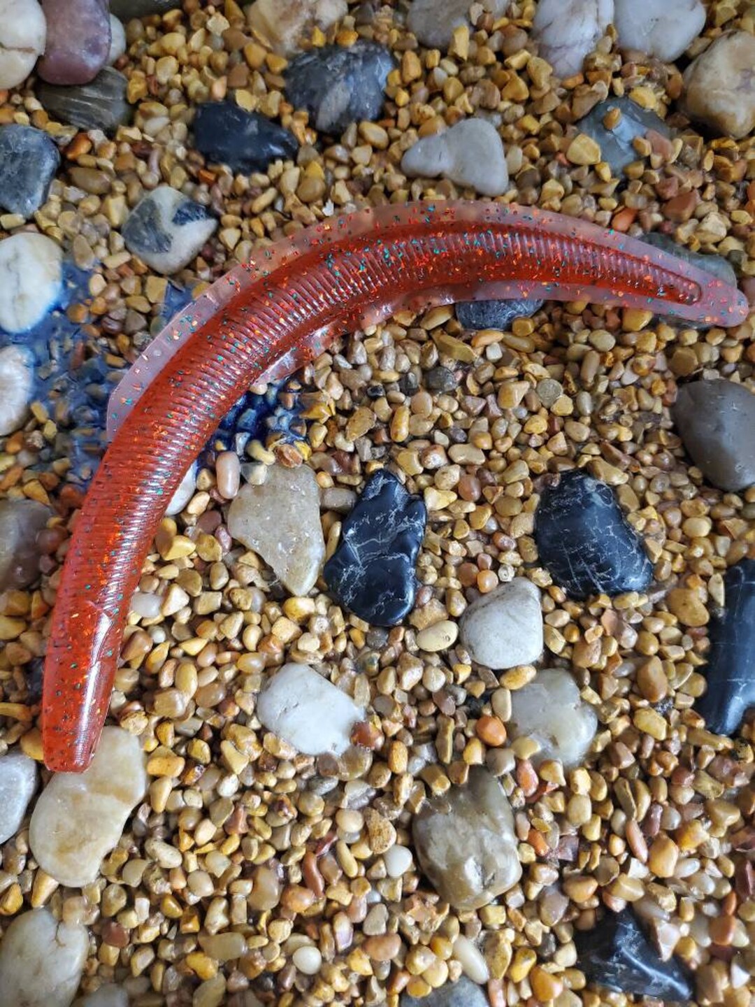 9" Eel (color Series Two) - Etsy