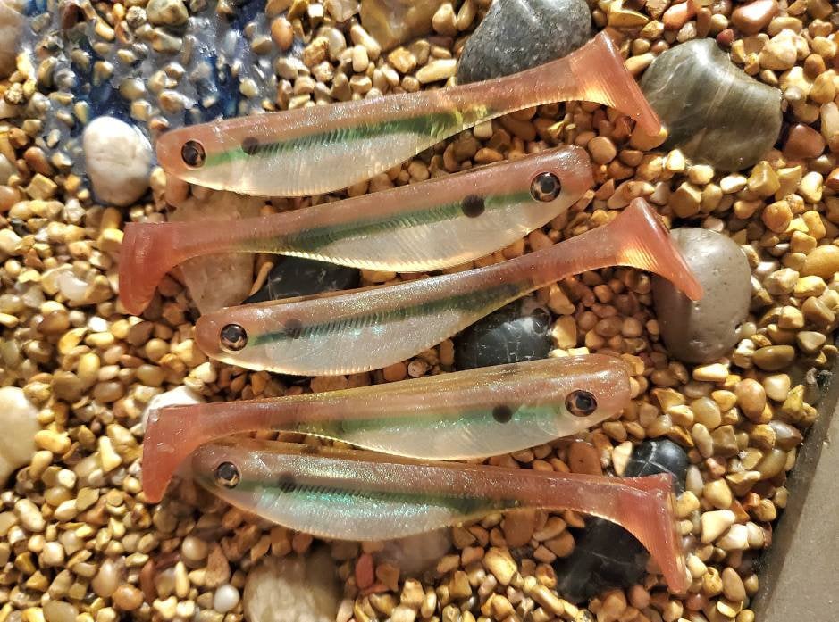 4 Shad Paddle Tail Swim Bait multi Color - Etsy